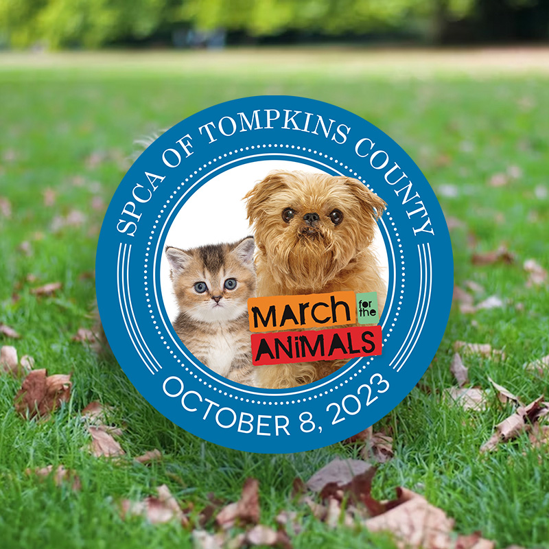 SPCA of Tompkins County